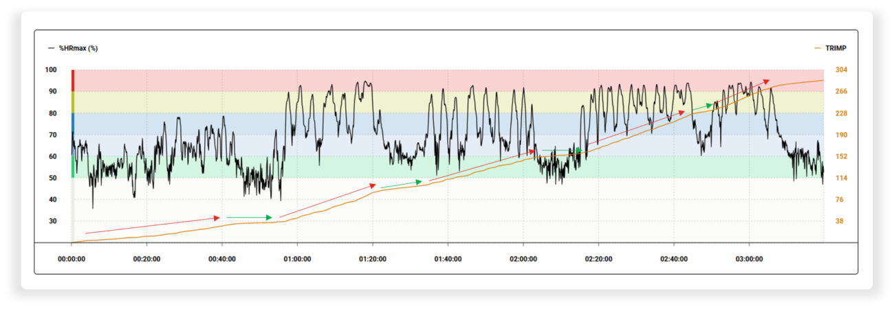 What is TRIMP? How Sports Teams Use It to Optimize Training - Firstbeat